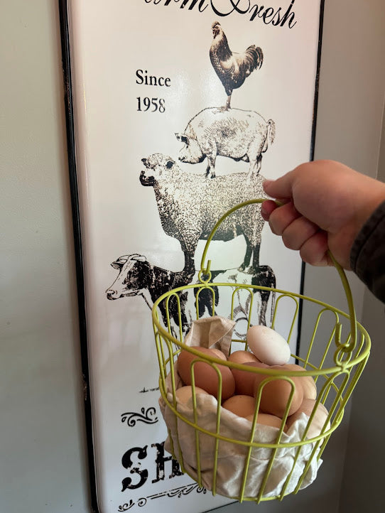 🥚 Egg-cellent Nutrition: Boosting Fall Laying Power – OverEZ Chicken Coop