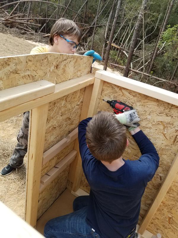 Why Ordering Early Is Best When It Comes to Chicken Coops – OverEZ ...