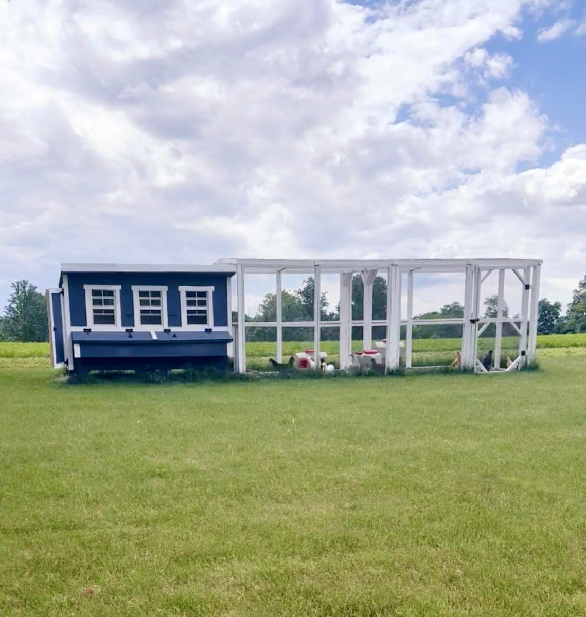 Keep Your Coop in Tip Top Shape! | OverEZ Chicken Coop