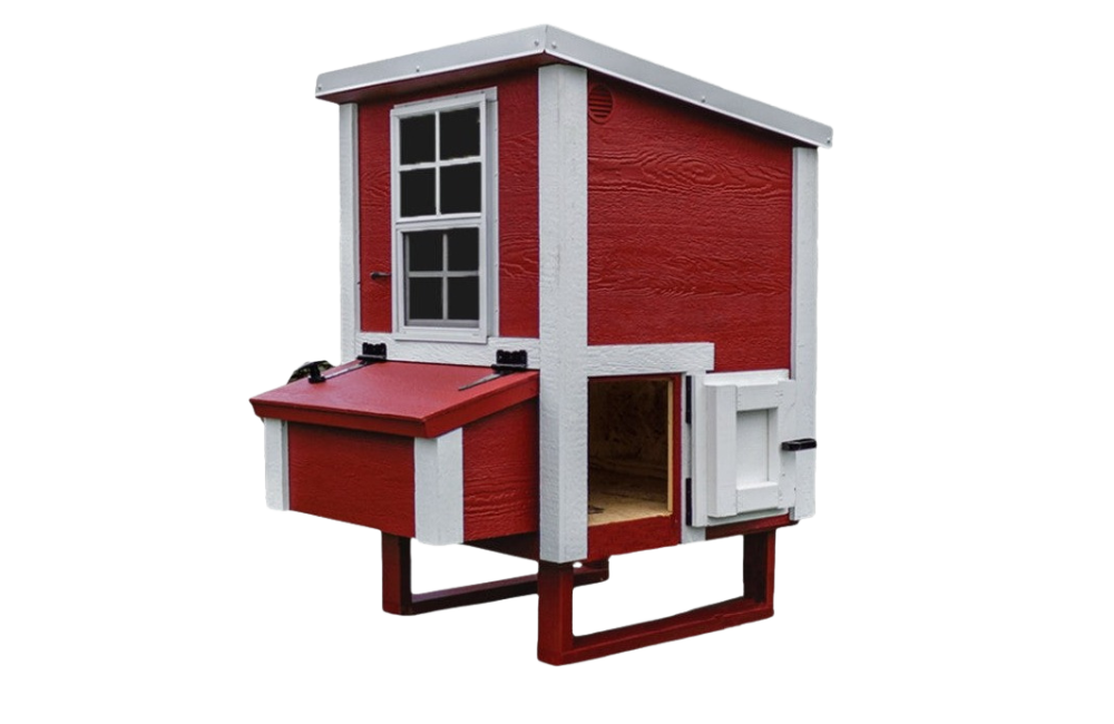 Very Small Chicken Co Op 6 Chicken Run Design Features You Can't